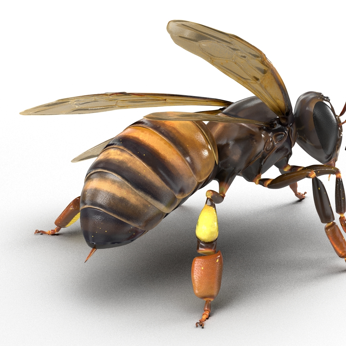 honey bee pose 2 3d max