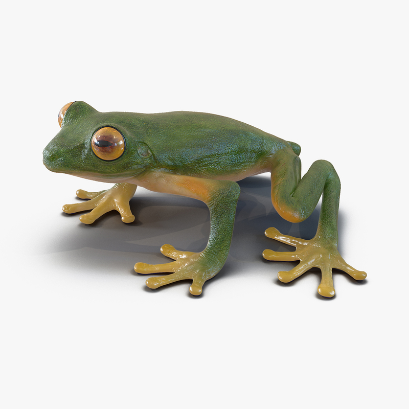 3ds tree frog