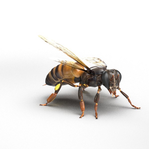 honey bee pose 2 3d max