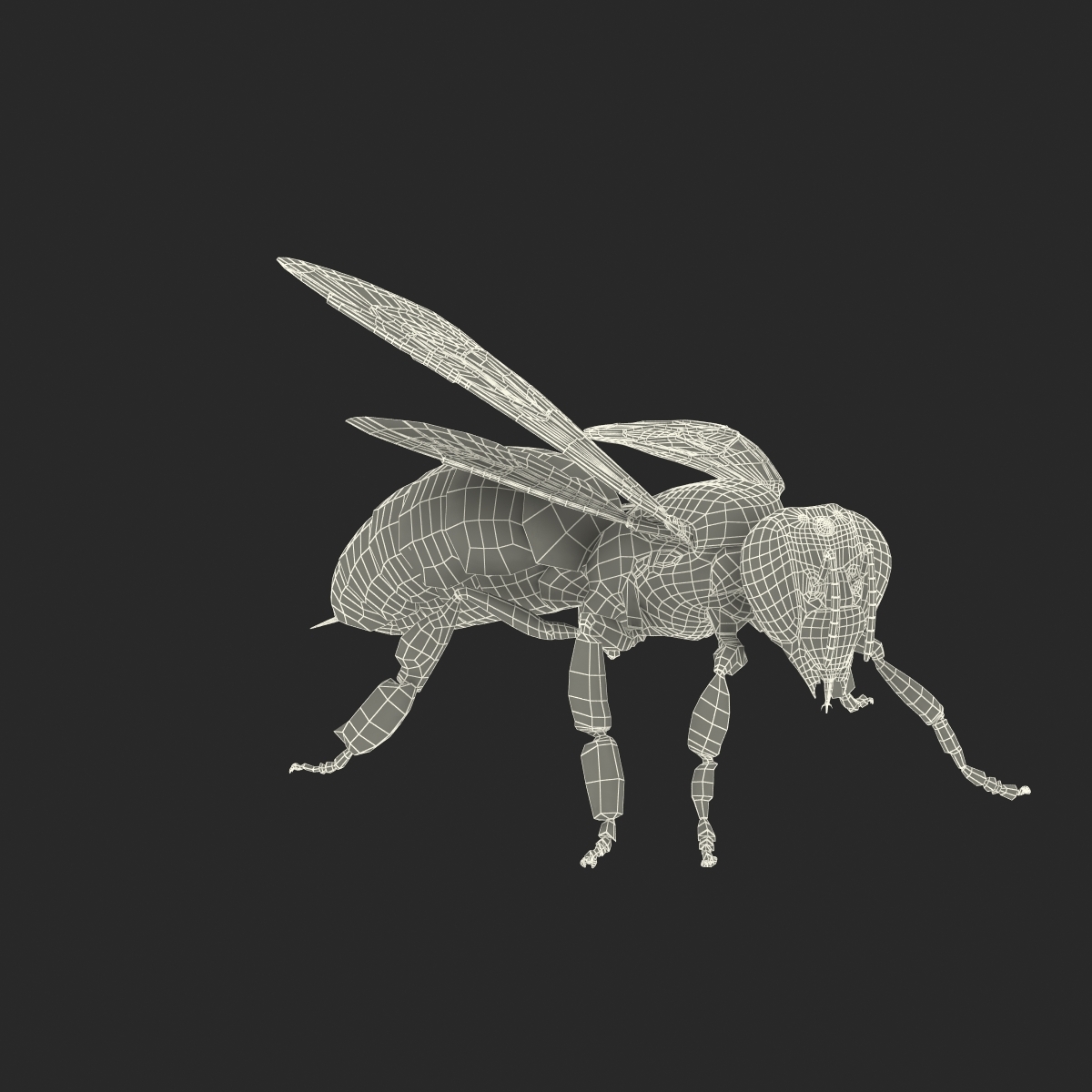 honey bee pose 2 3d max