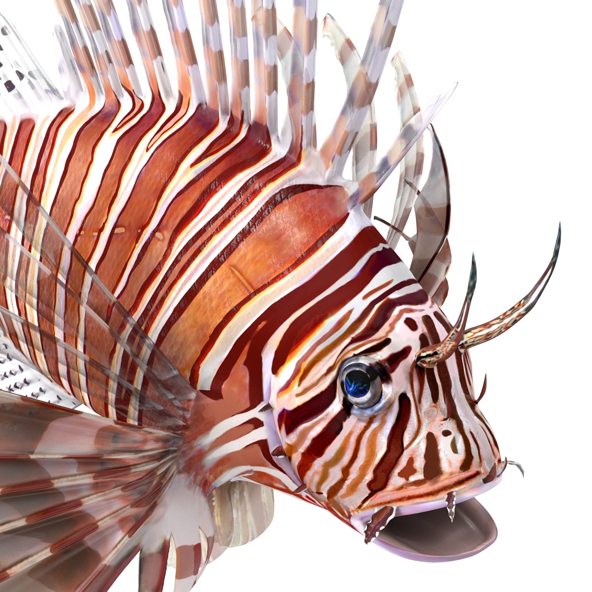 lion fish 3d max