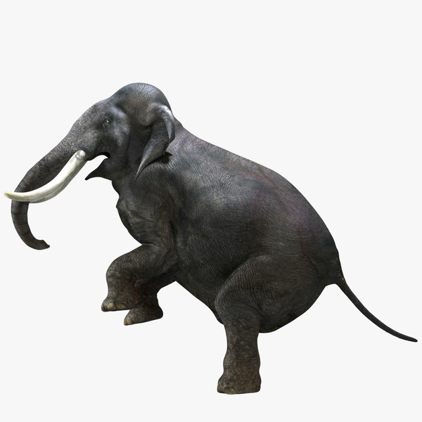 basemesh elephant uvs 3d obj