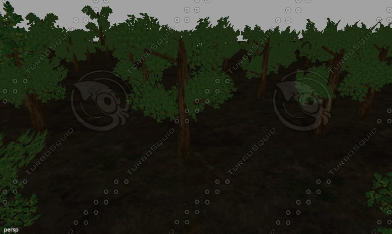 forest 3d model