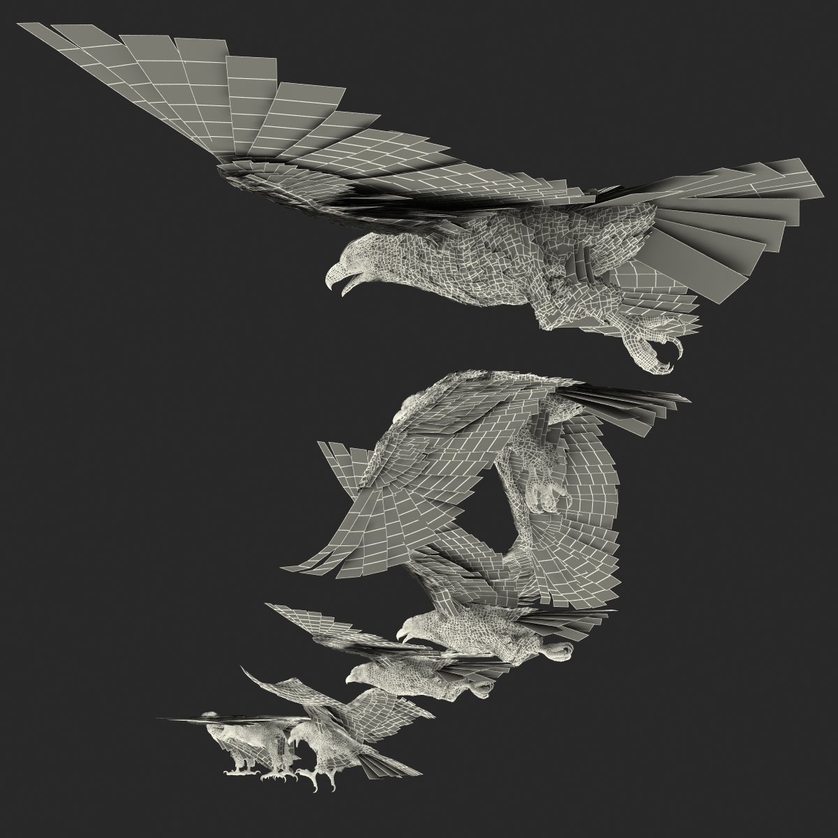 bald eagle 3d model