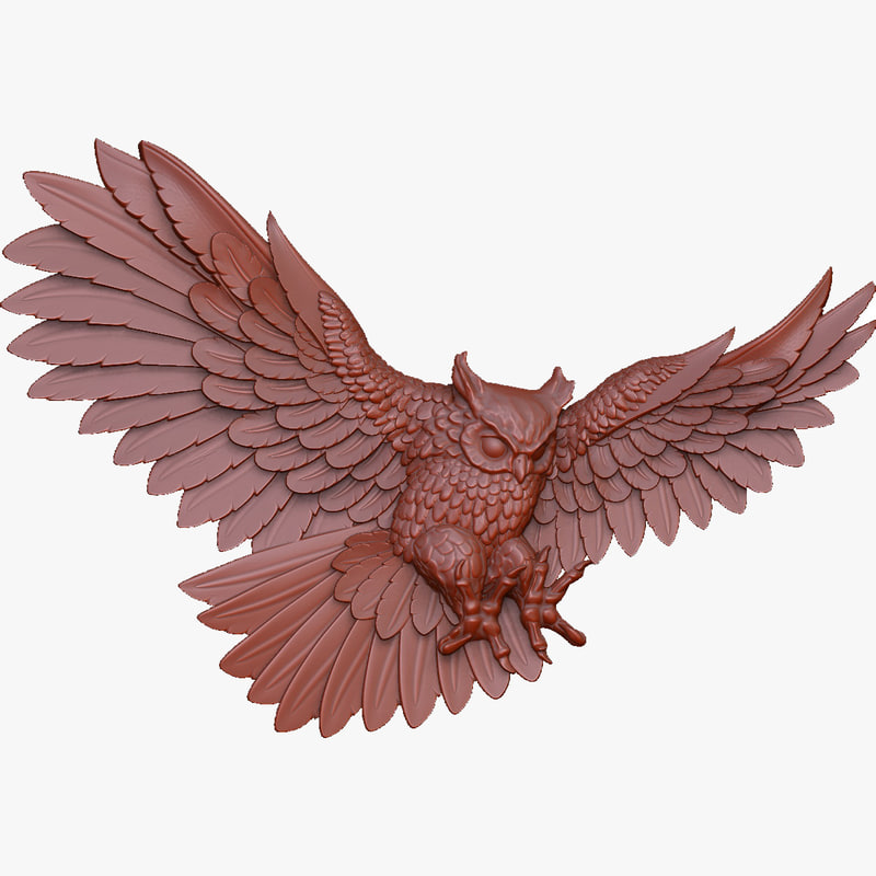 owl 3d model