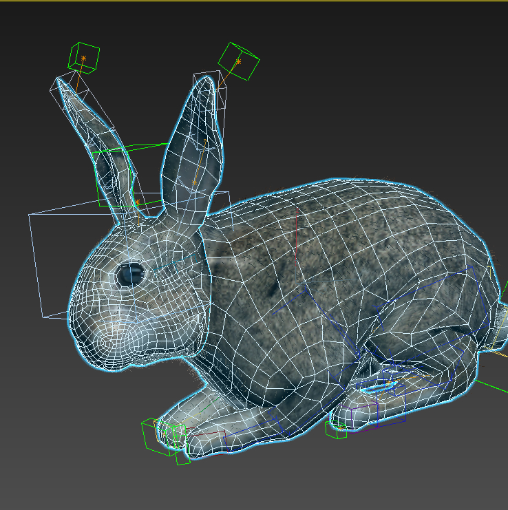 Hase 3D-Modell - TurboSquid 1008469