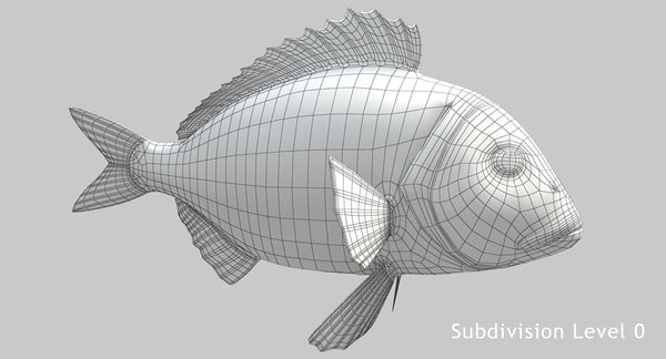 snapper fish animation 3d model