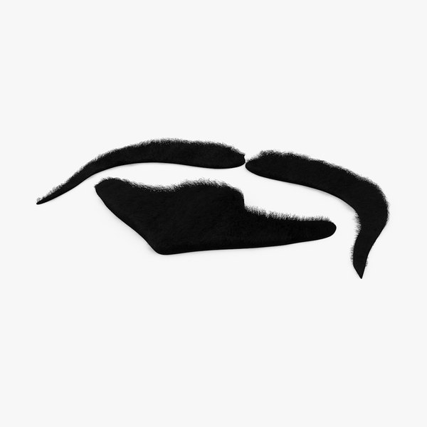 modelo 3d Traje de bigote y perilla - TurboSquid 1008736
