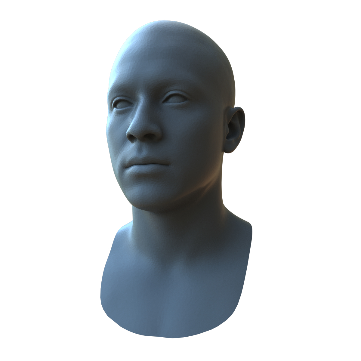 3d based face ages