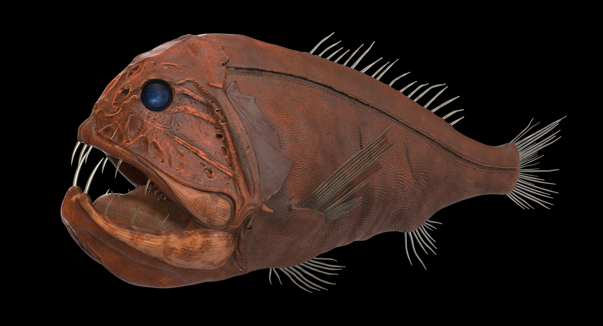 fangtooth fish 3d model