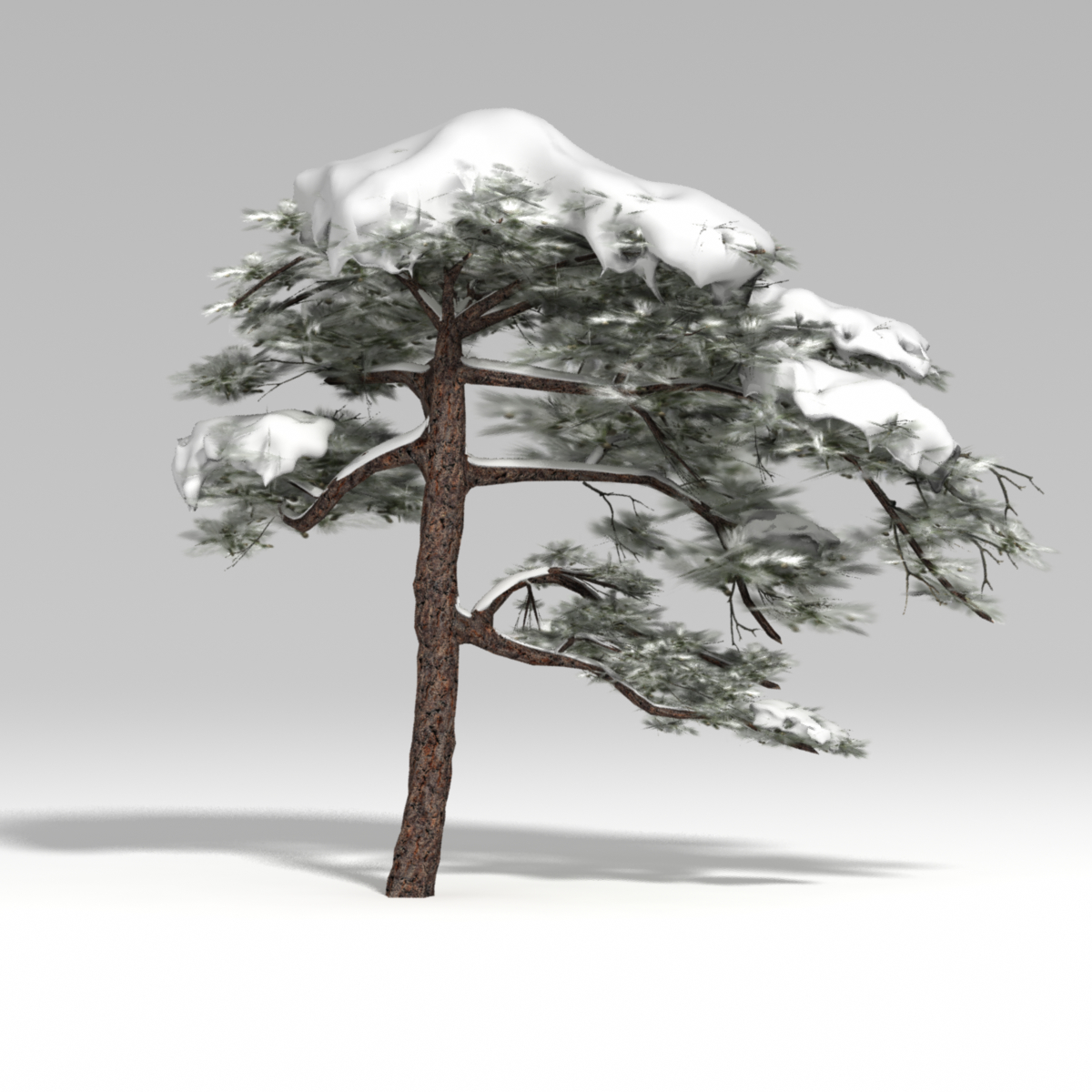 3d snowtree tree snow model