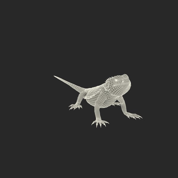 obj bearded dragon pose 2