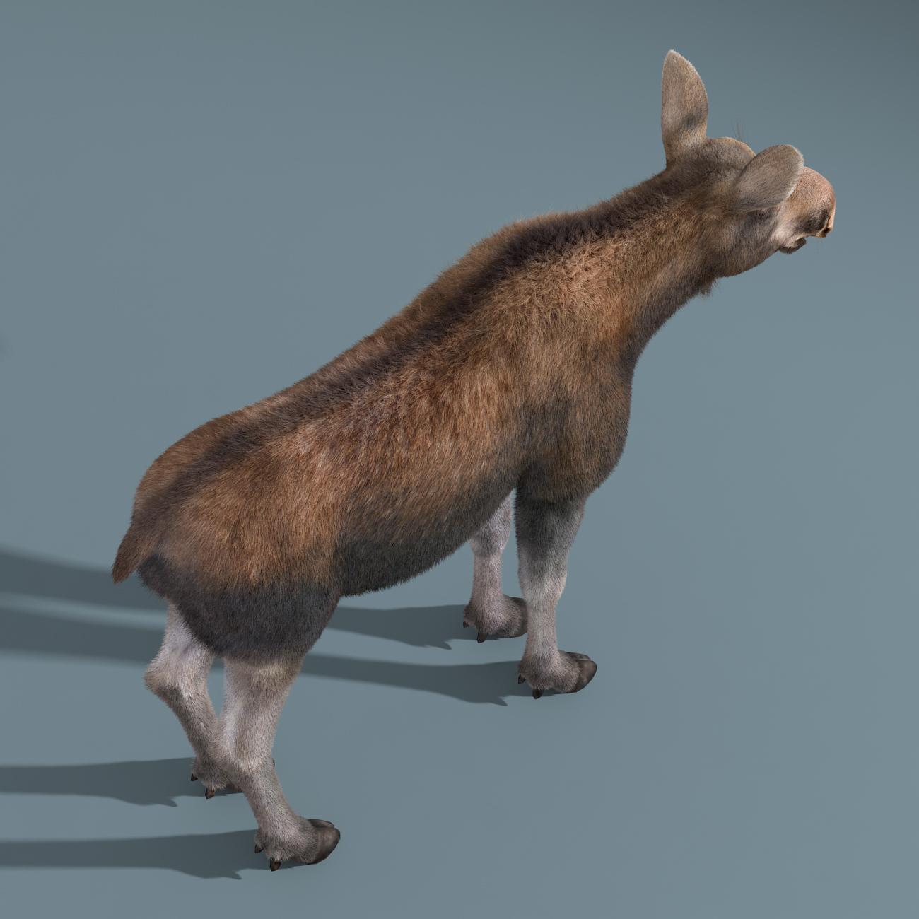 3d moose female fur