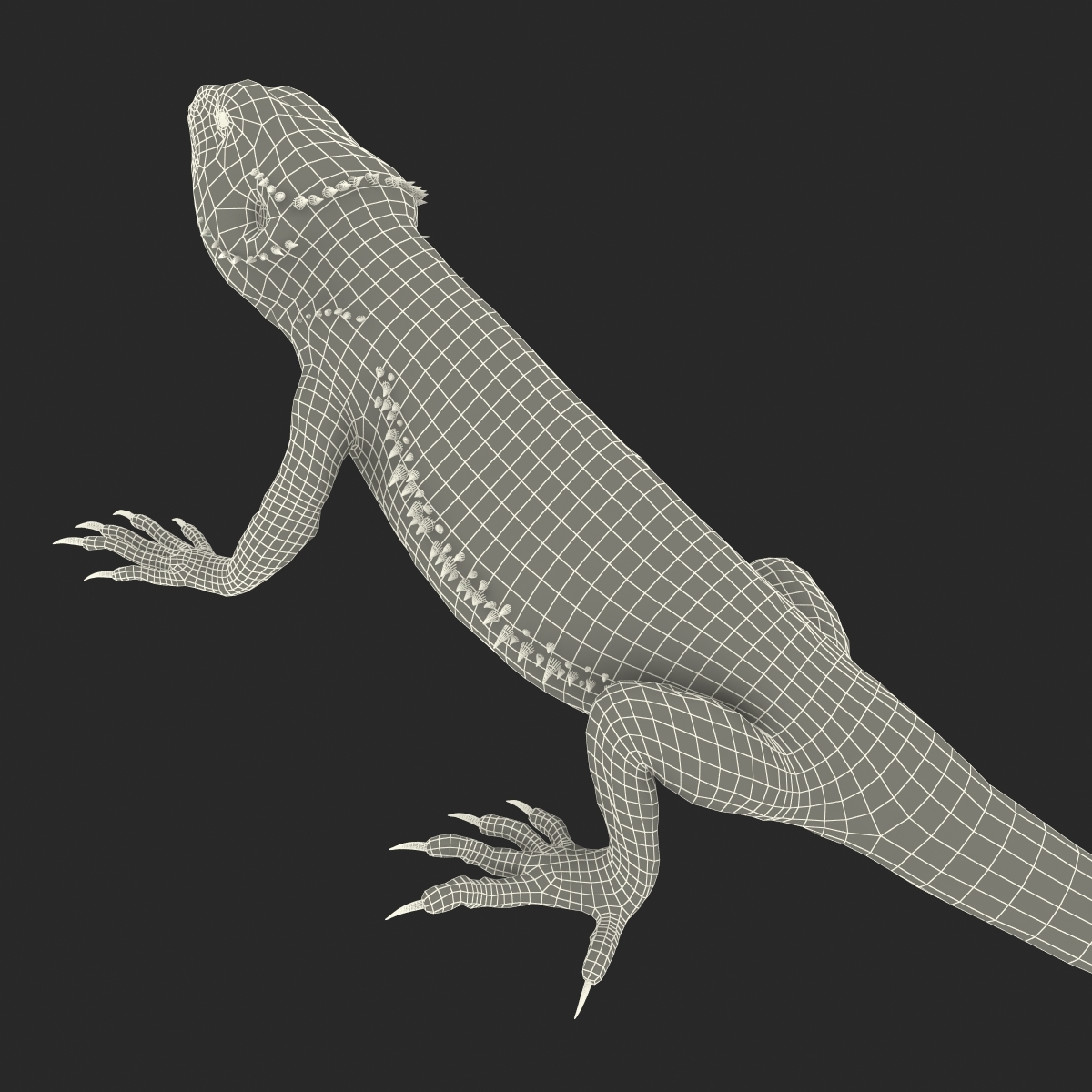 obj bearded dragon pose 2