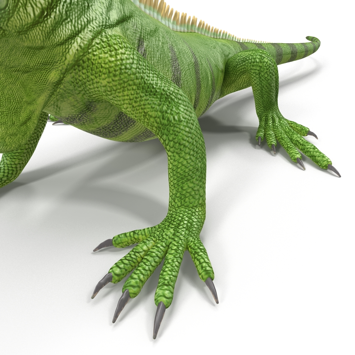 3d model green iguana pose 2