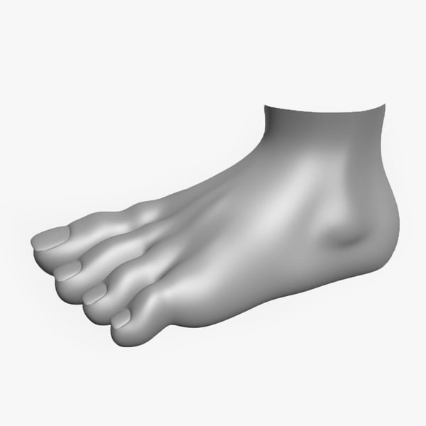 Foot 3D Models for Download | TurboSquid