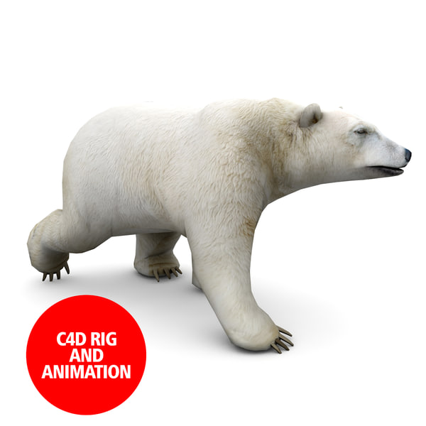 Polar Bear 3D Models for Download | TurboSquid
