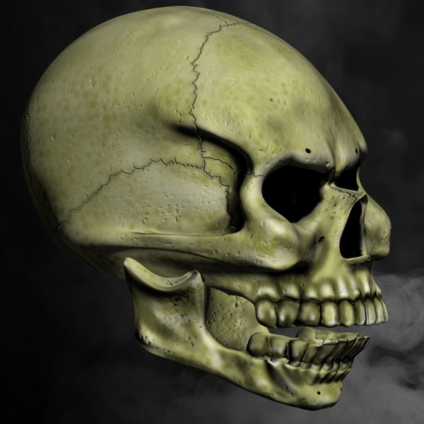 3ds animation skull talk