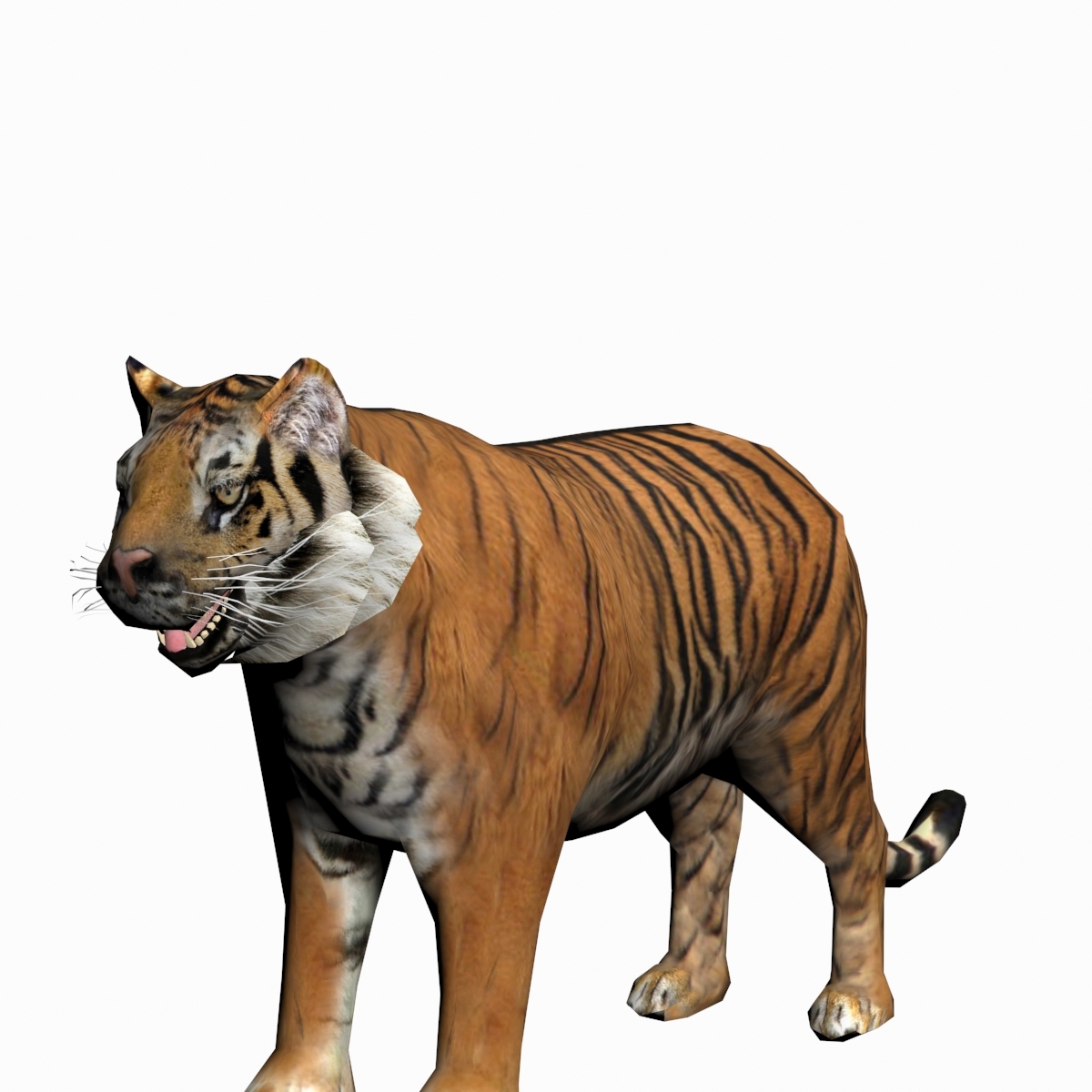 tiger max