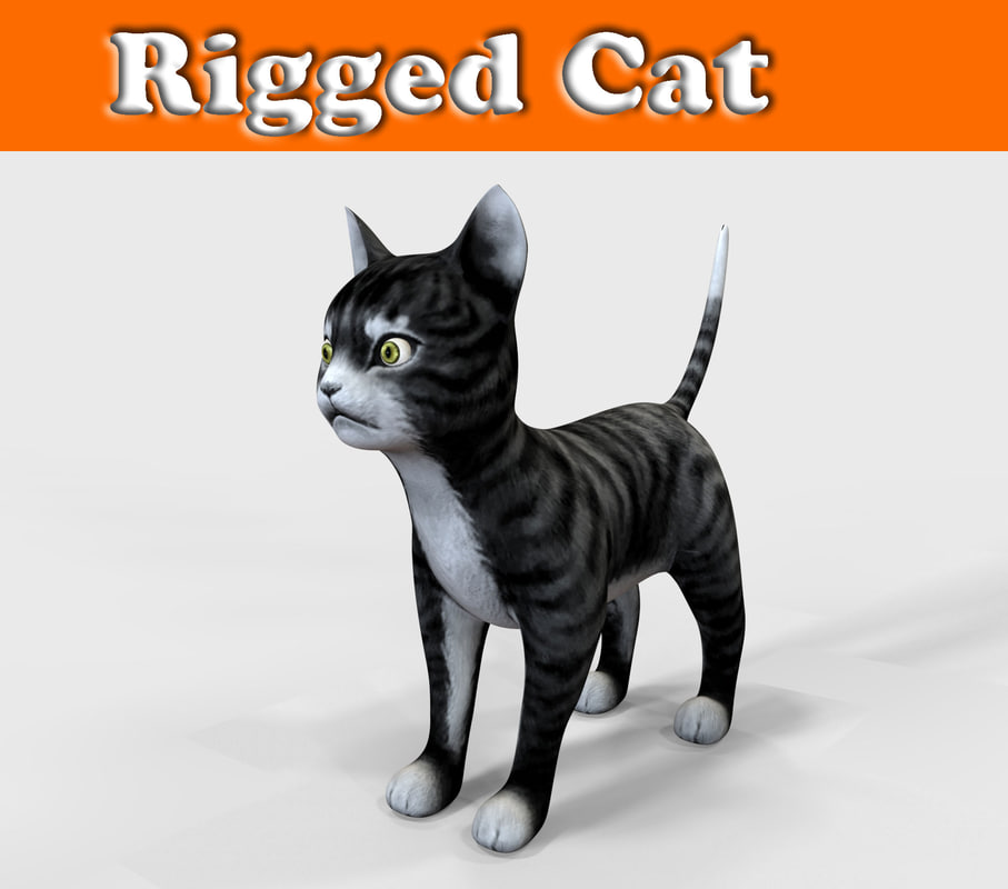 3ds cat rigged