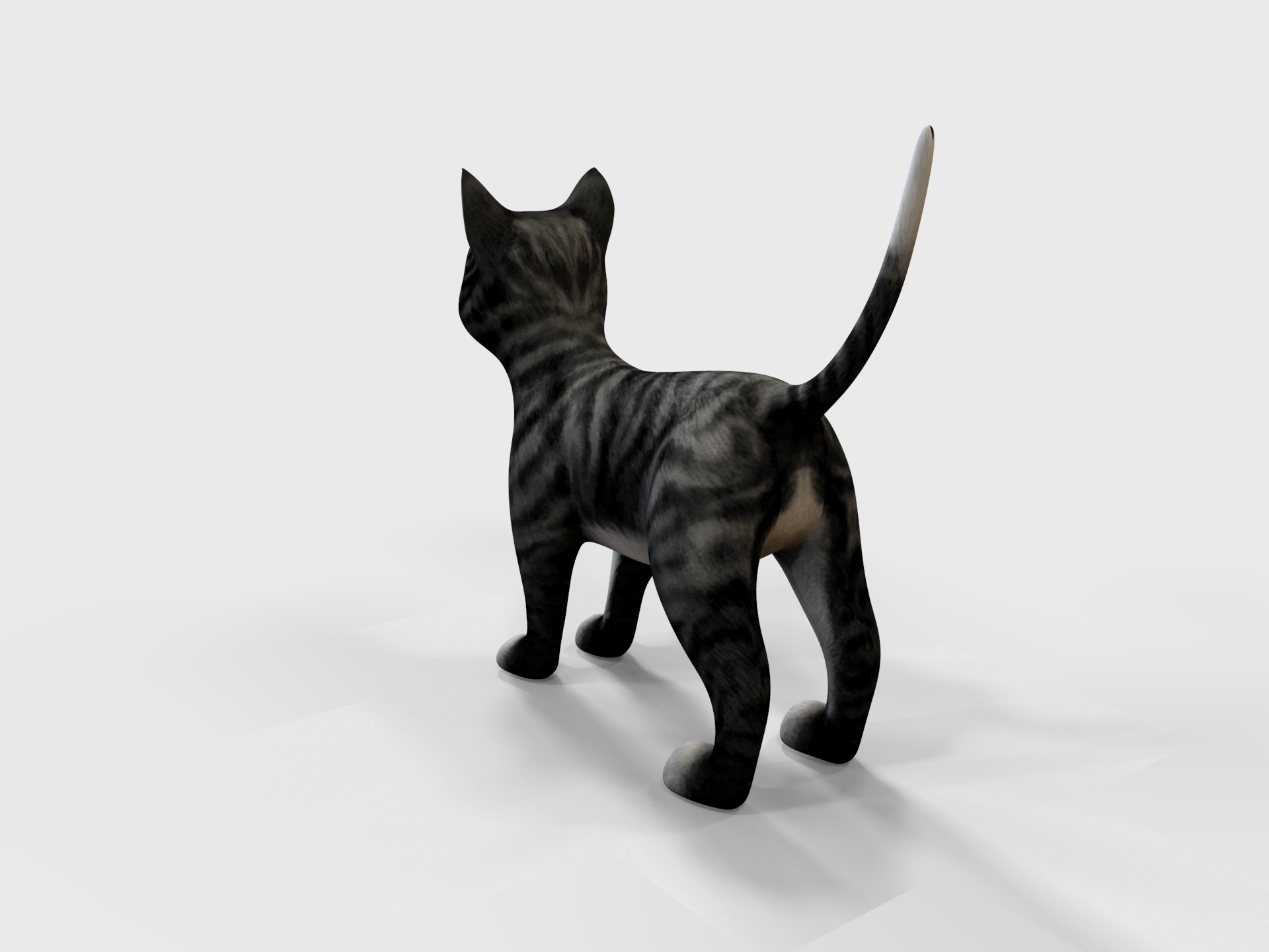 3ds cat rigged
