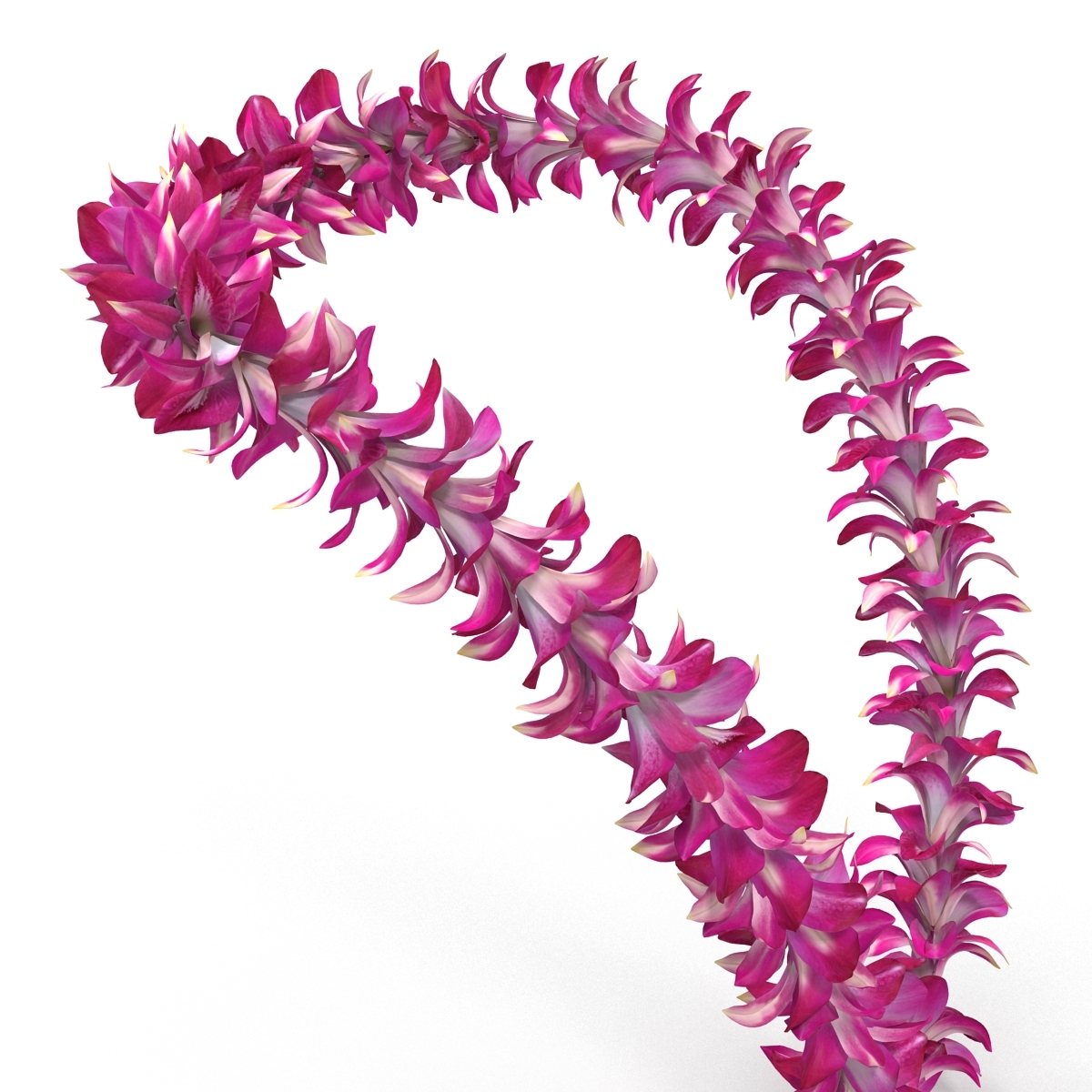 hawaiian lei 3d model