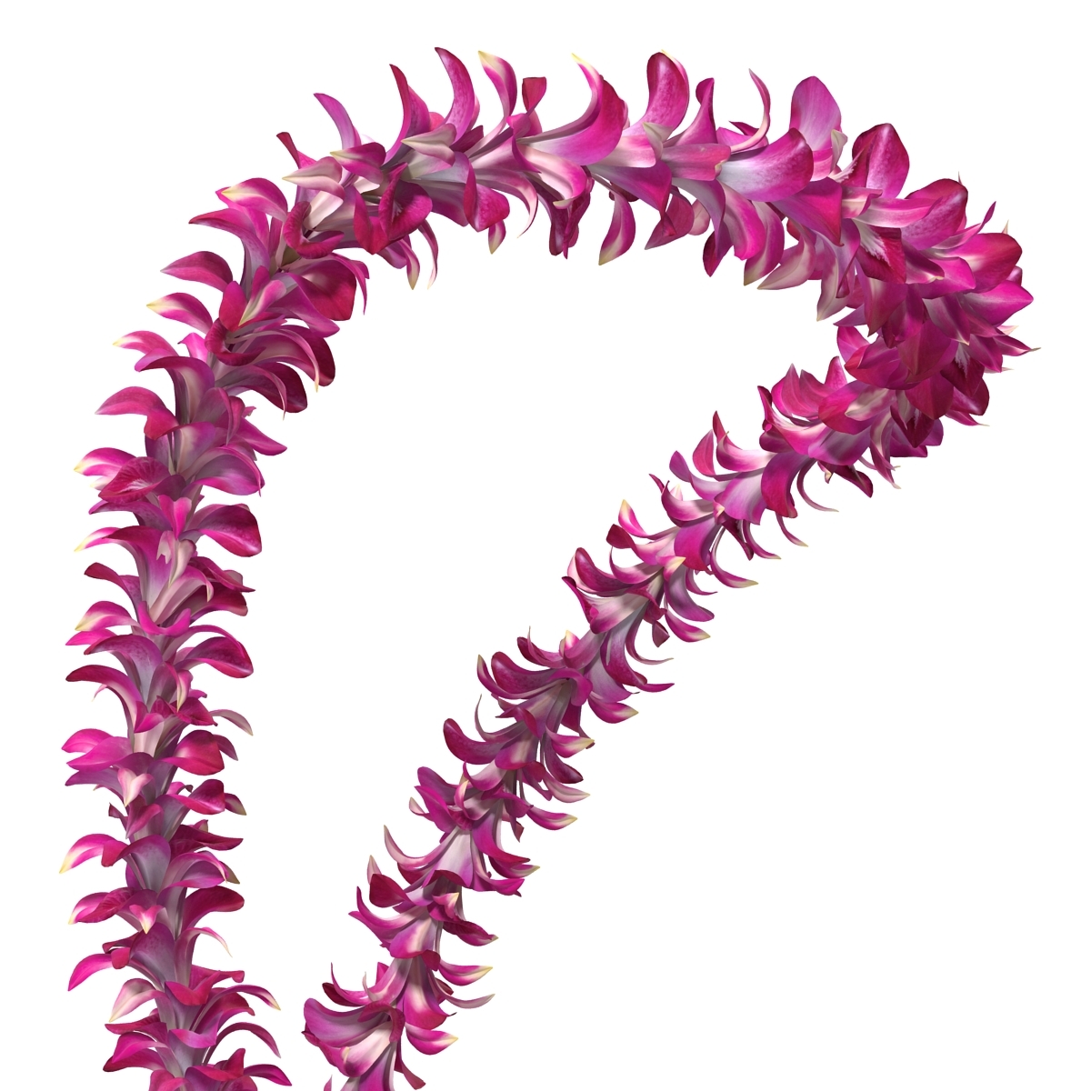 hawaiian lei 3d model