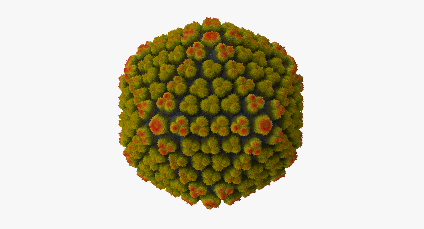 3d model virus adeno