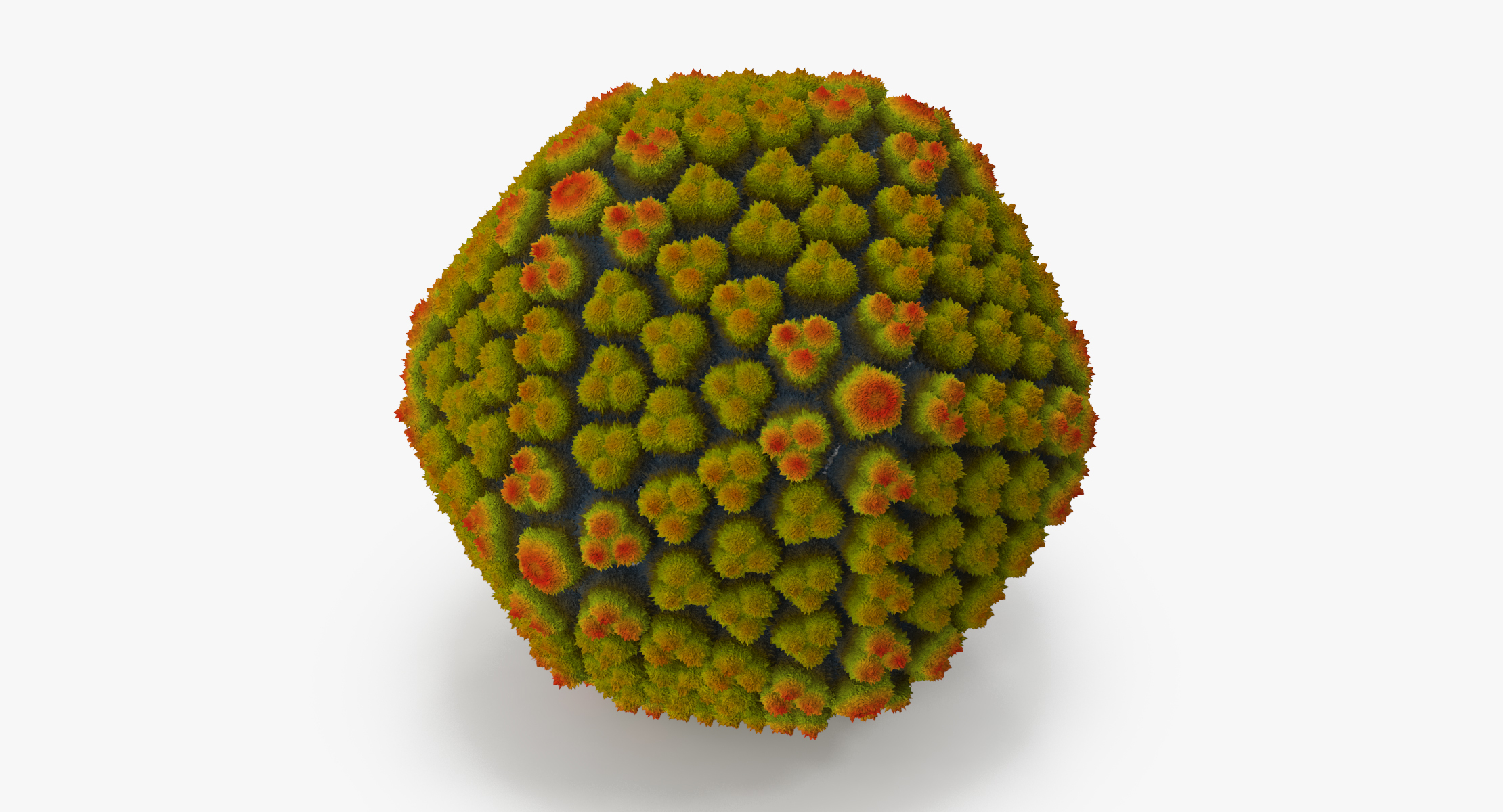 3d model virus adeno