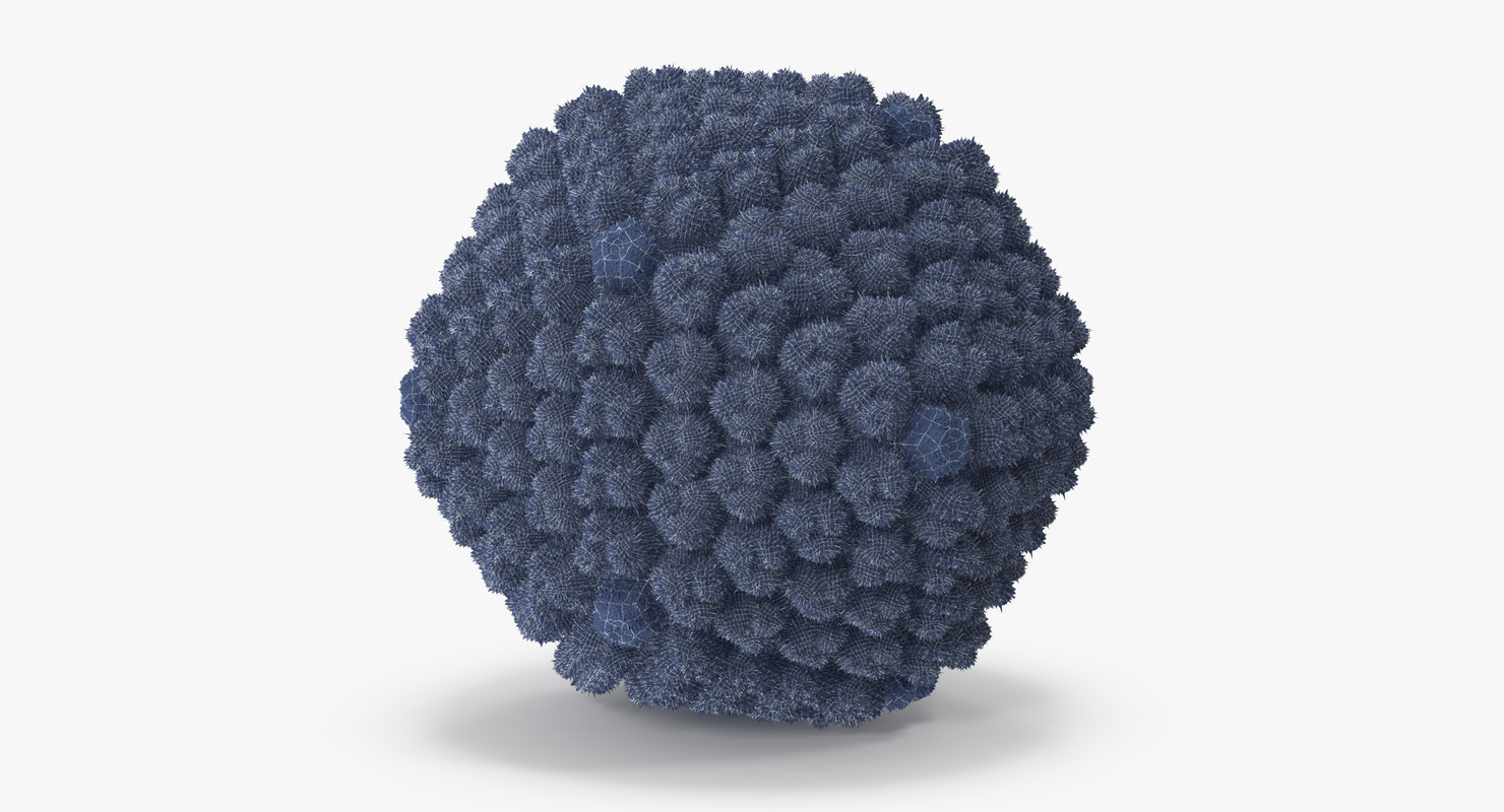 3d model virus adeno