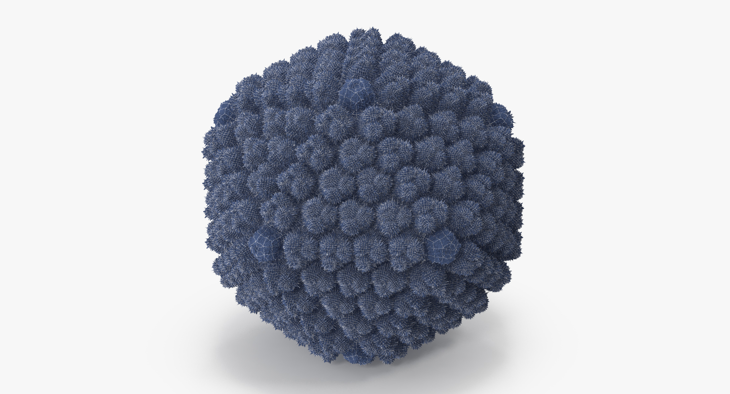 3d model virus adeno