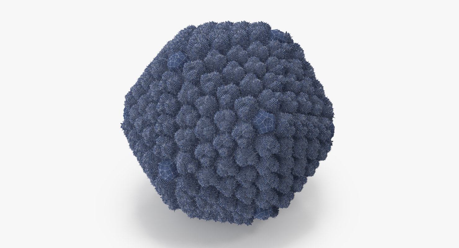 3d model virus adeno