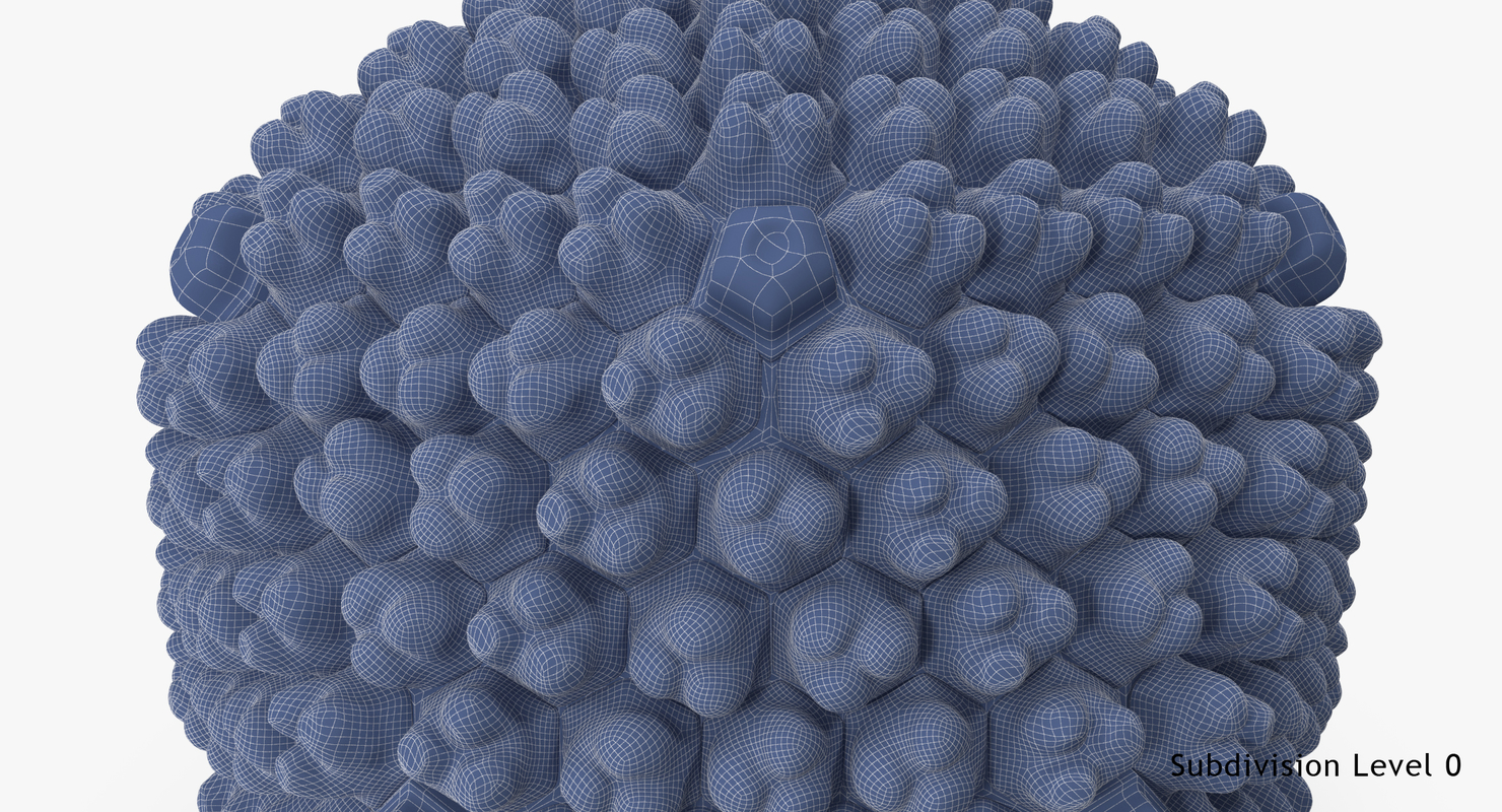 3d model virus adeno