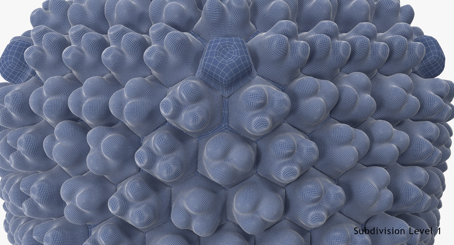 3d model virus adeno