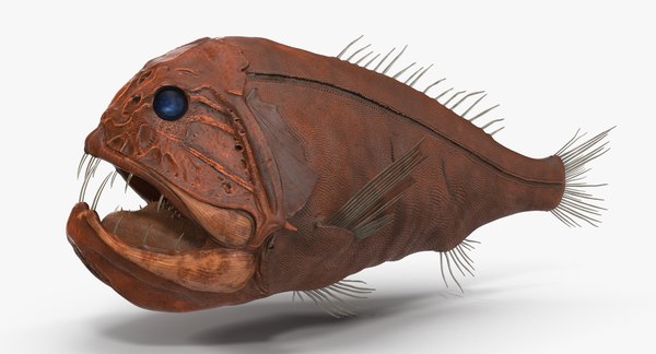 3d model of fangtooth fish