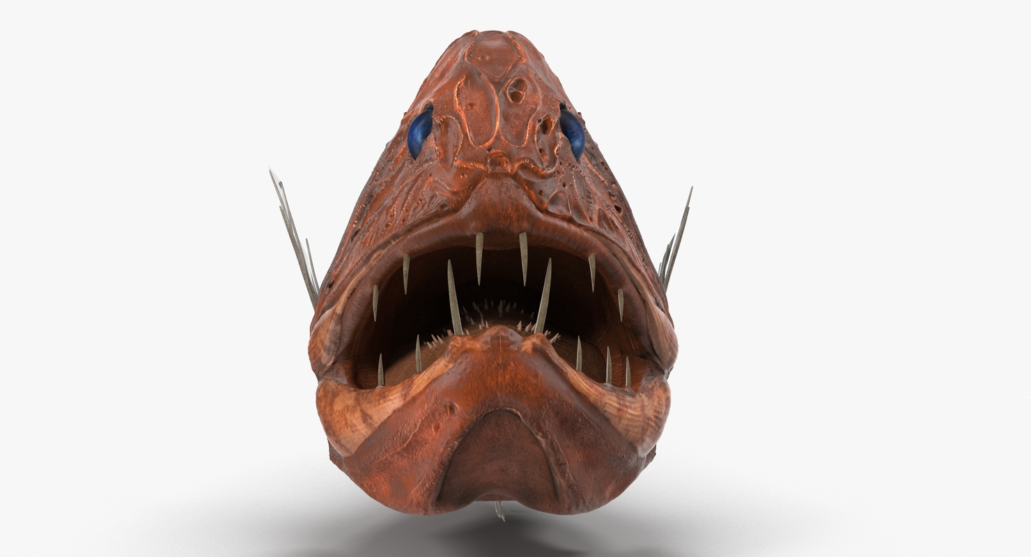 3d model of fangtooth fish