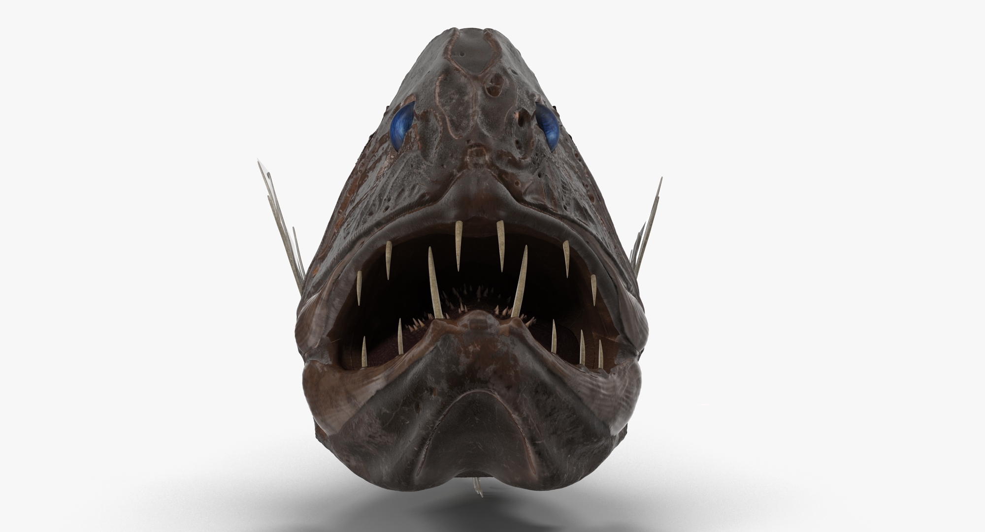 3d model of fangtooth fish