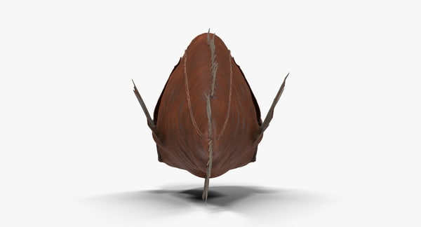 3d model of fangtooth fish