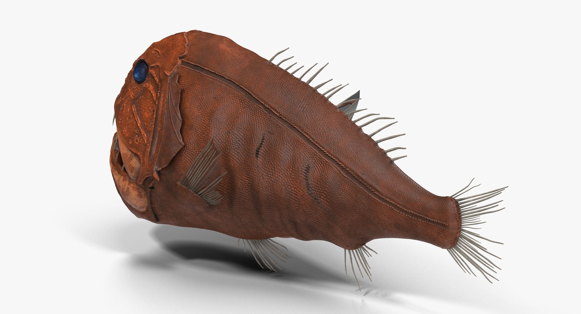 3d model of fangtooth fish