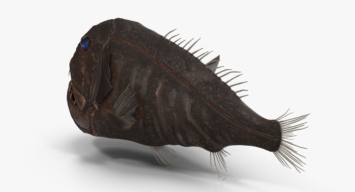 3d model of fangtooth fish
