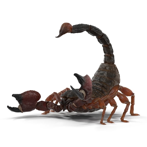 scorpion rigged 3d model