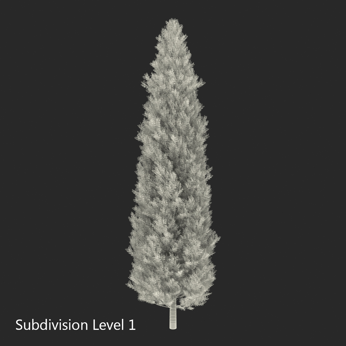 3d cypress tree