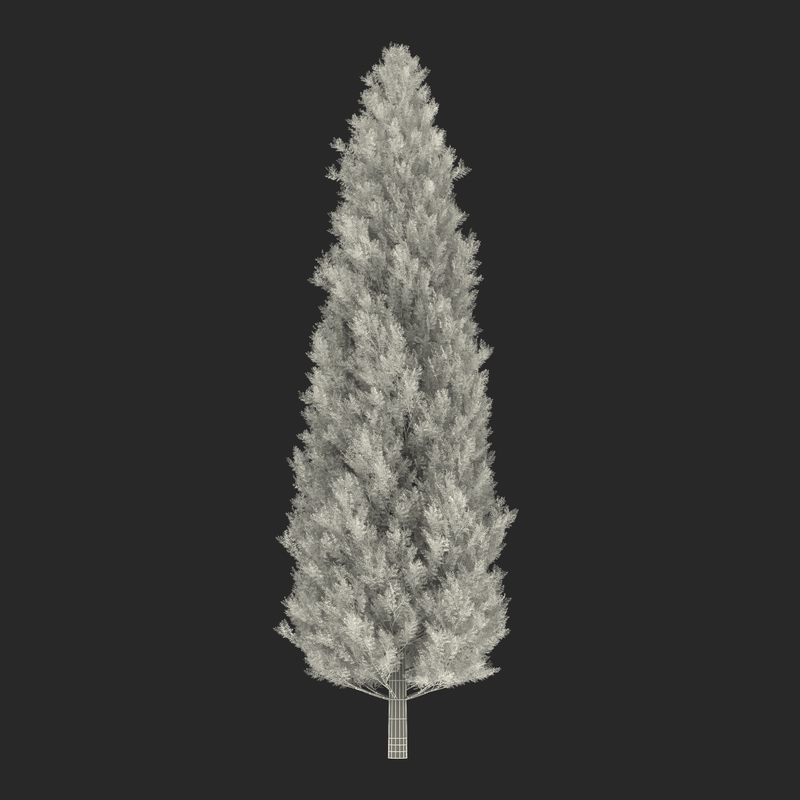 3d cypress tree