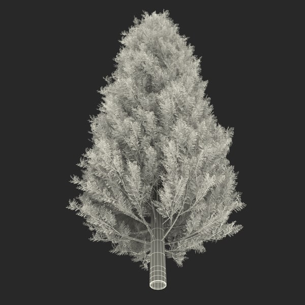 3d cypress tree