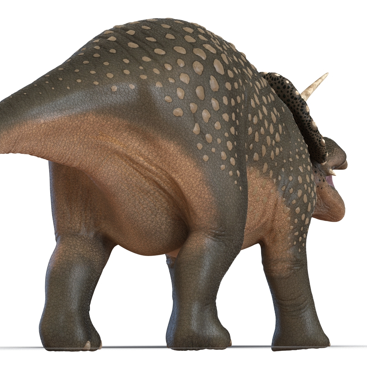 3d model triceratops pose 2