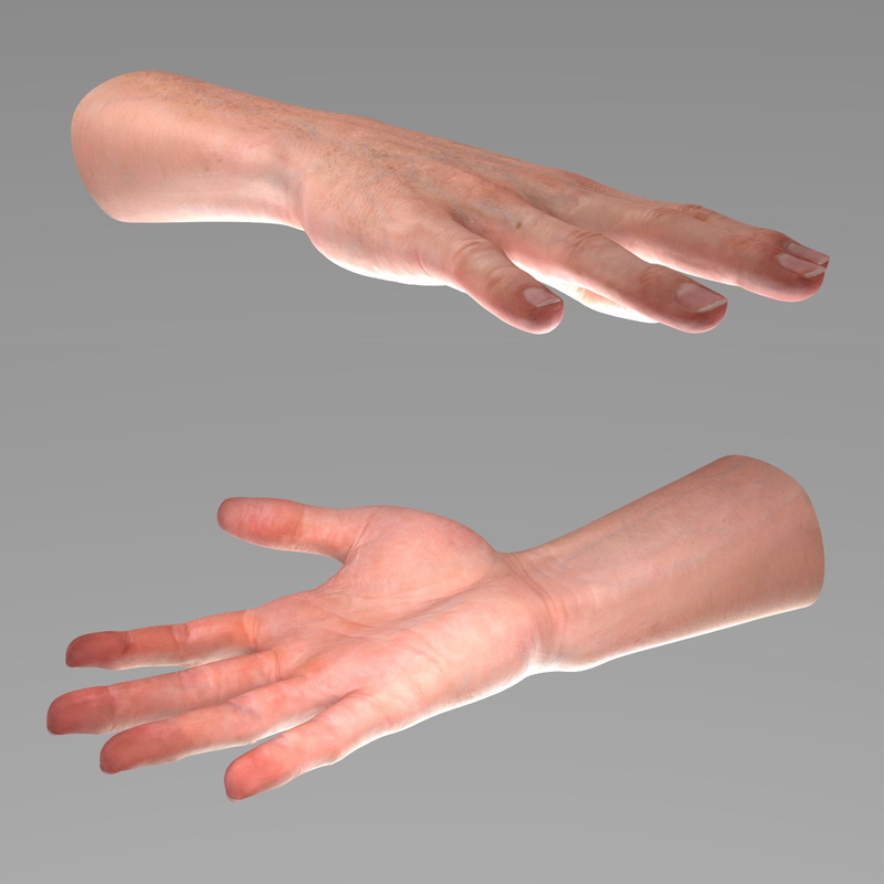 3d model male human hand rigged