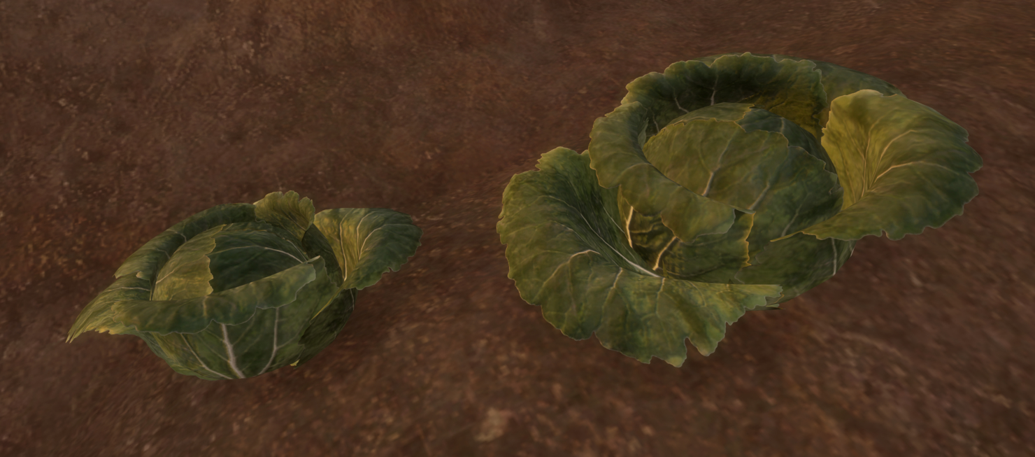 3d cabbage