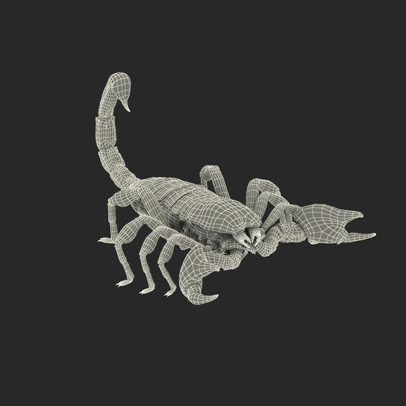 3ds scorpion