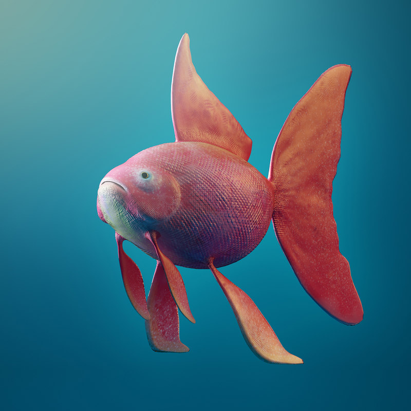 3d model fish