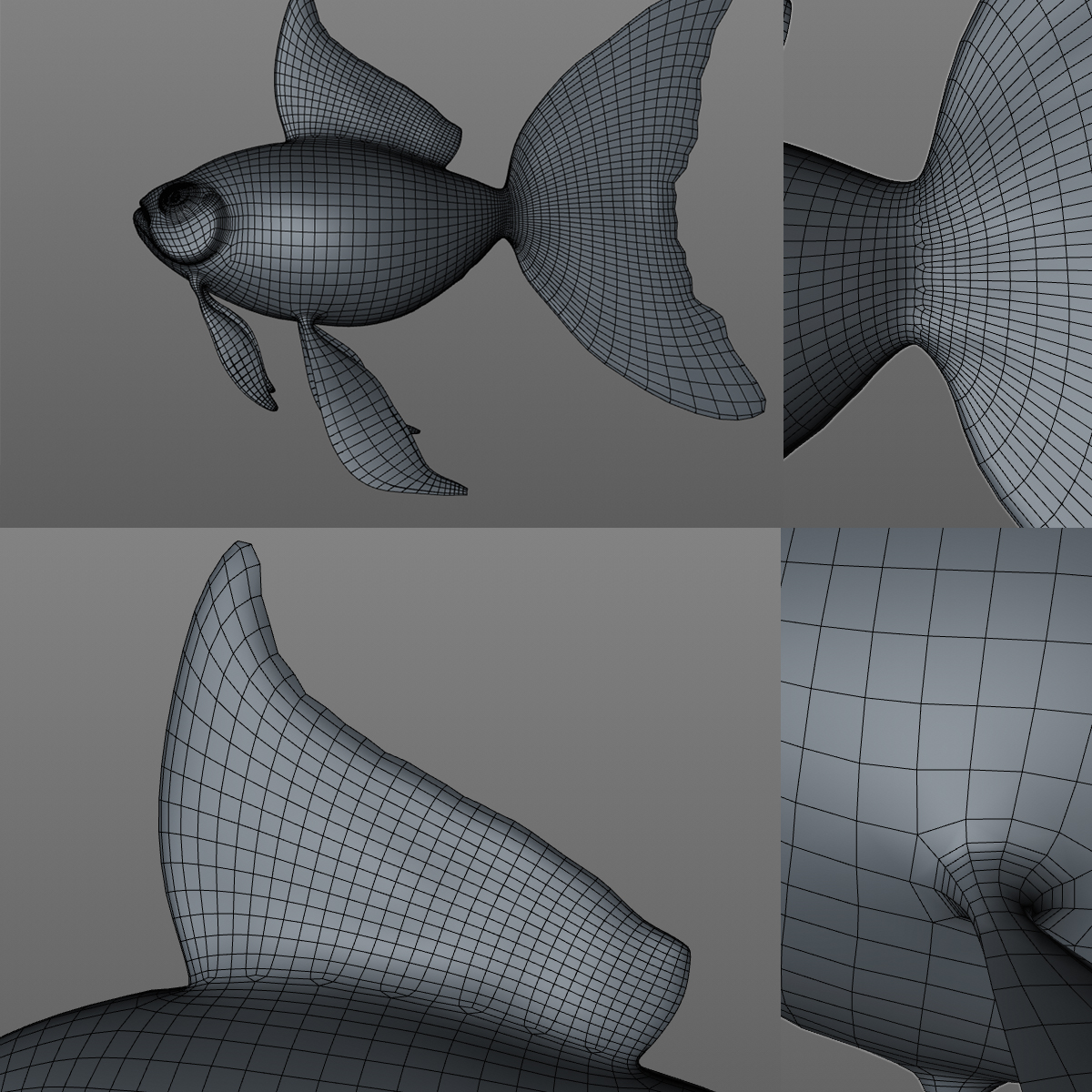 3d model fish
